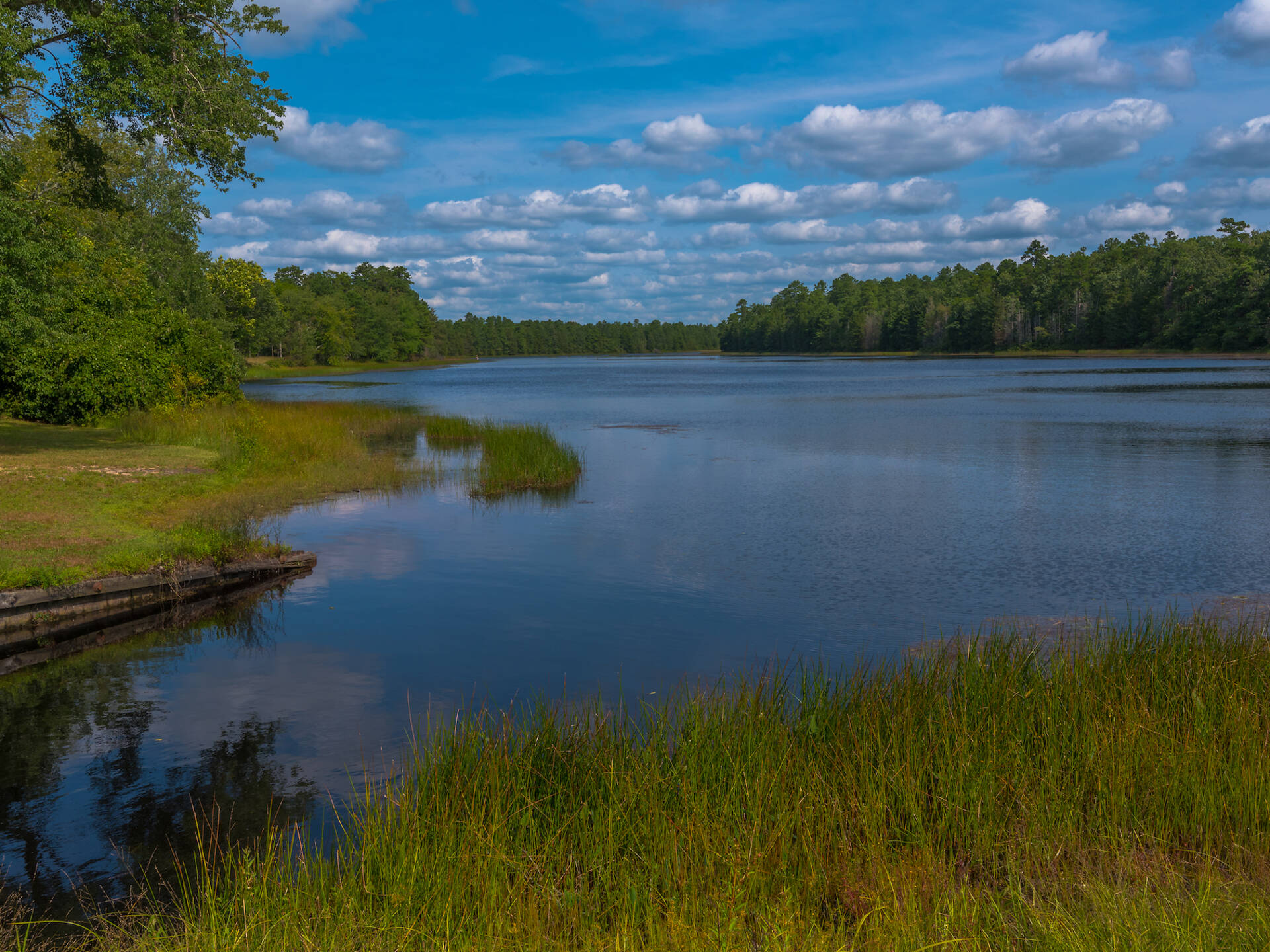 Where to go Hiking Near Philadelphia: 12 Best Local Spots