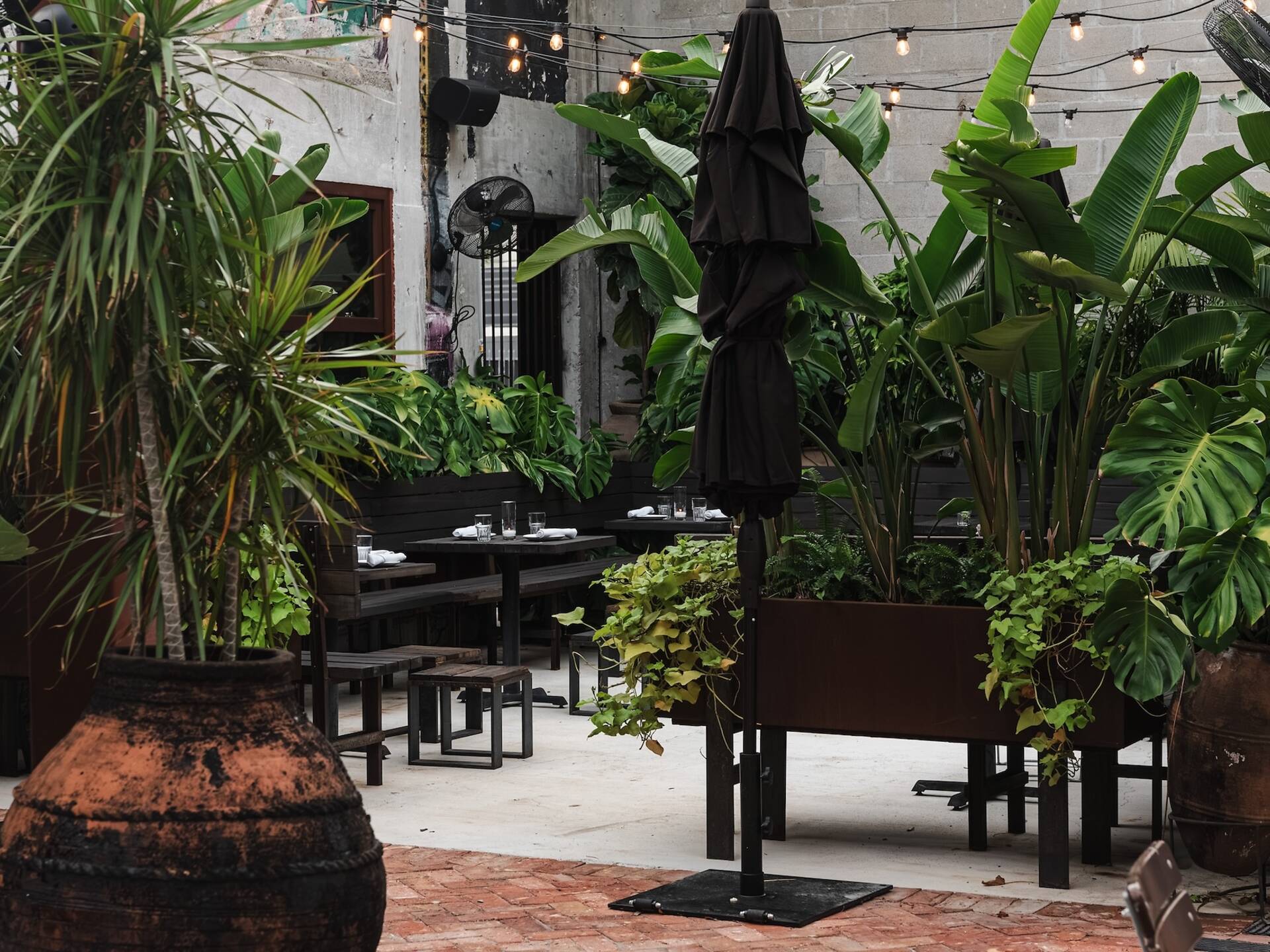 14 Best Wine Bars in Miami for Solid Sips, Moody Vibes and Great Tapas