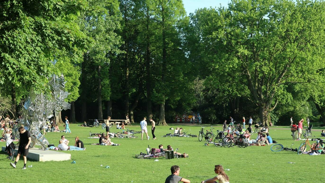 10 Best Parks in Amsterdam, Picked By A Local