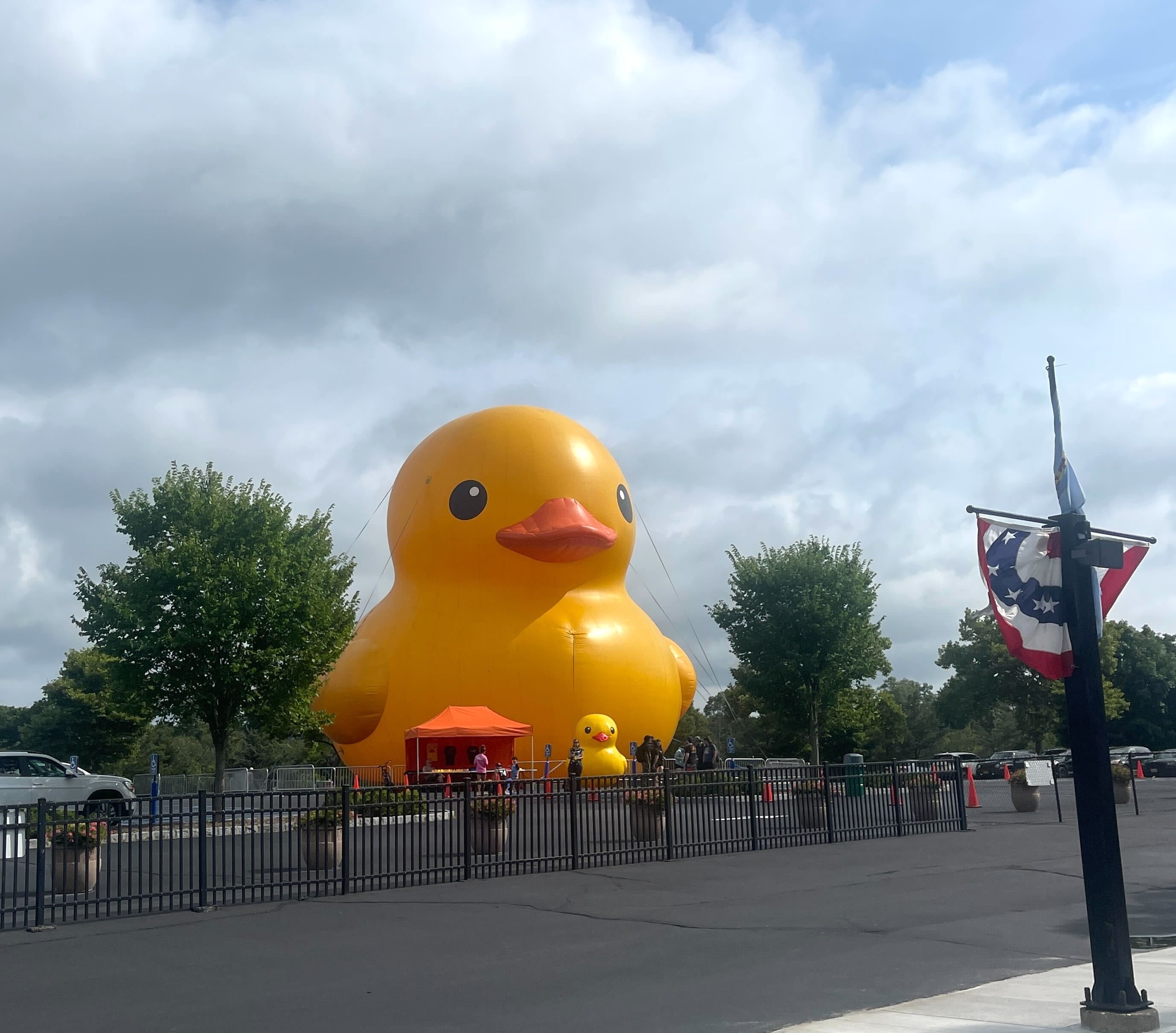 Mama Duck, the world’s largest inflatable duck, is visiting New York ...