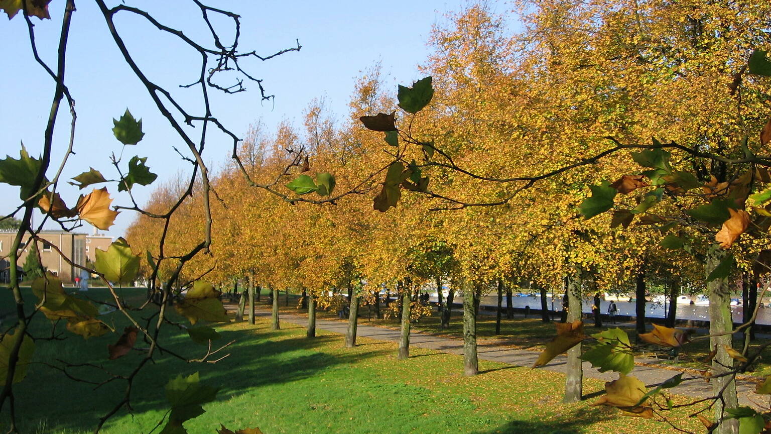 10 Best Parks in Amsterdam, Picked By A Local