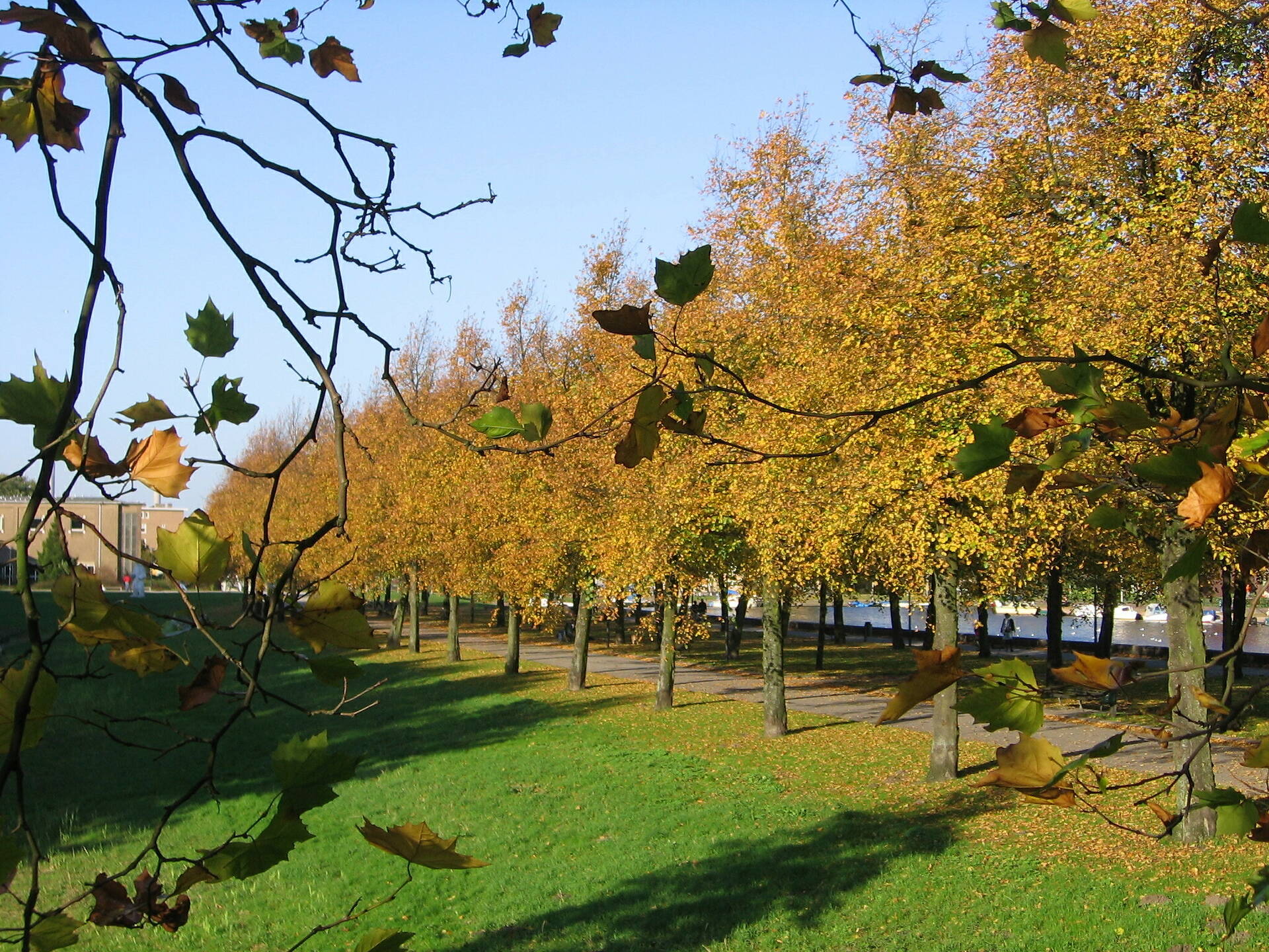 10 Best Parks in Amsterdam, Picked By A Local