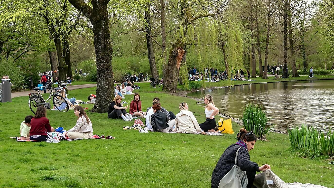 10 Best Parks in Amsterdam, Picked By A Local