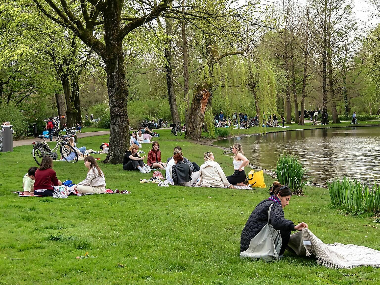 10 Best Parks in Amsterdam, Picked By A Local