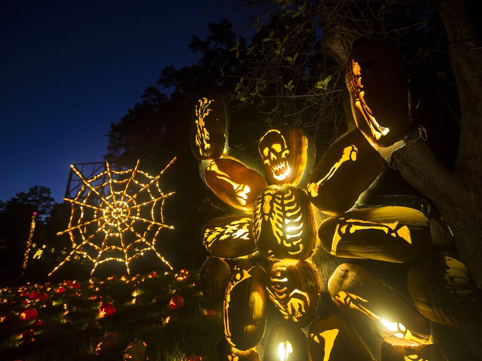 The 30+ Best Fall Activities in NYC Right Now, Including Festivals and ...