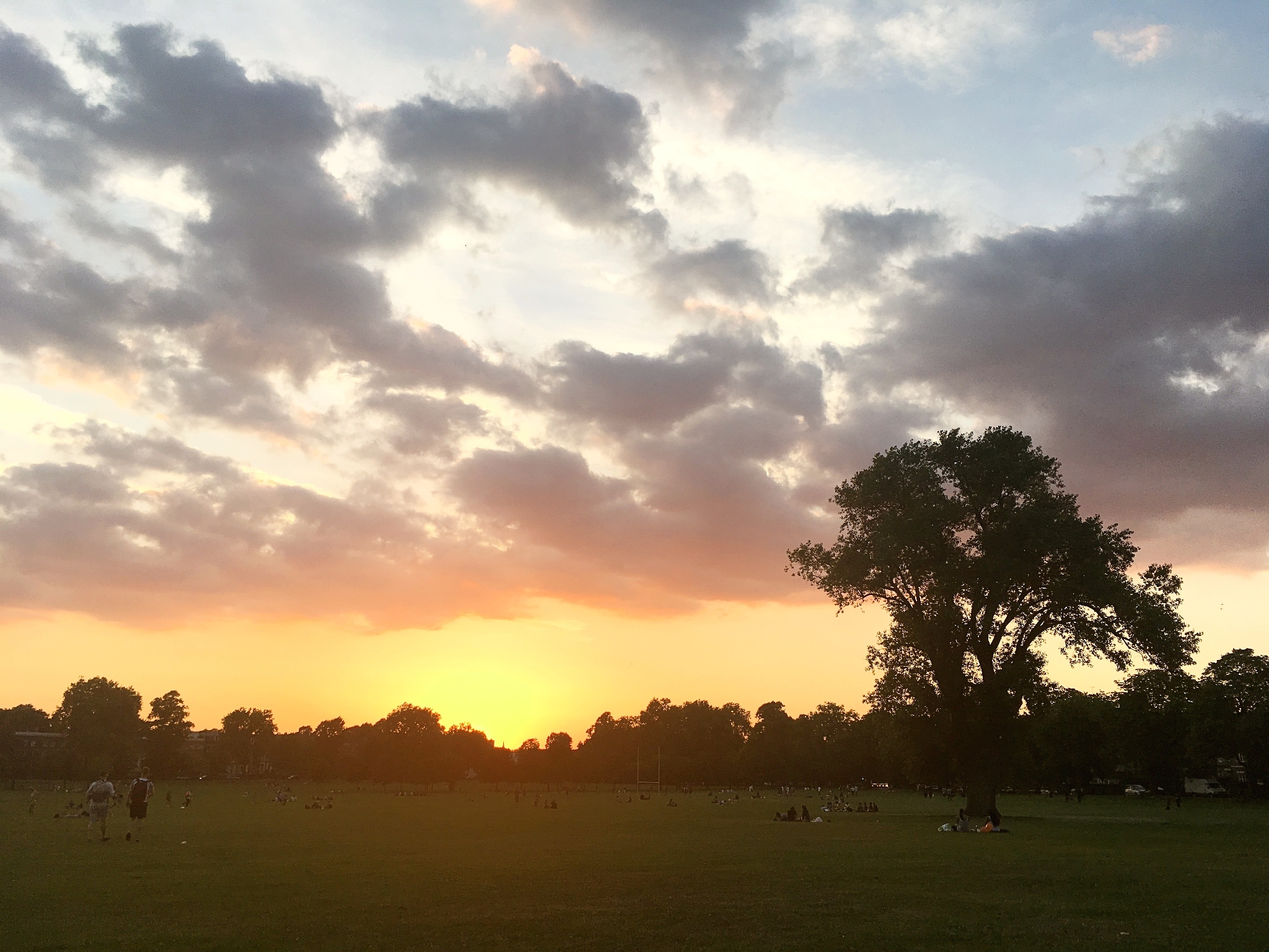Peckham Rye Common | Attractions in Peckham, London