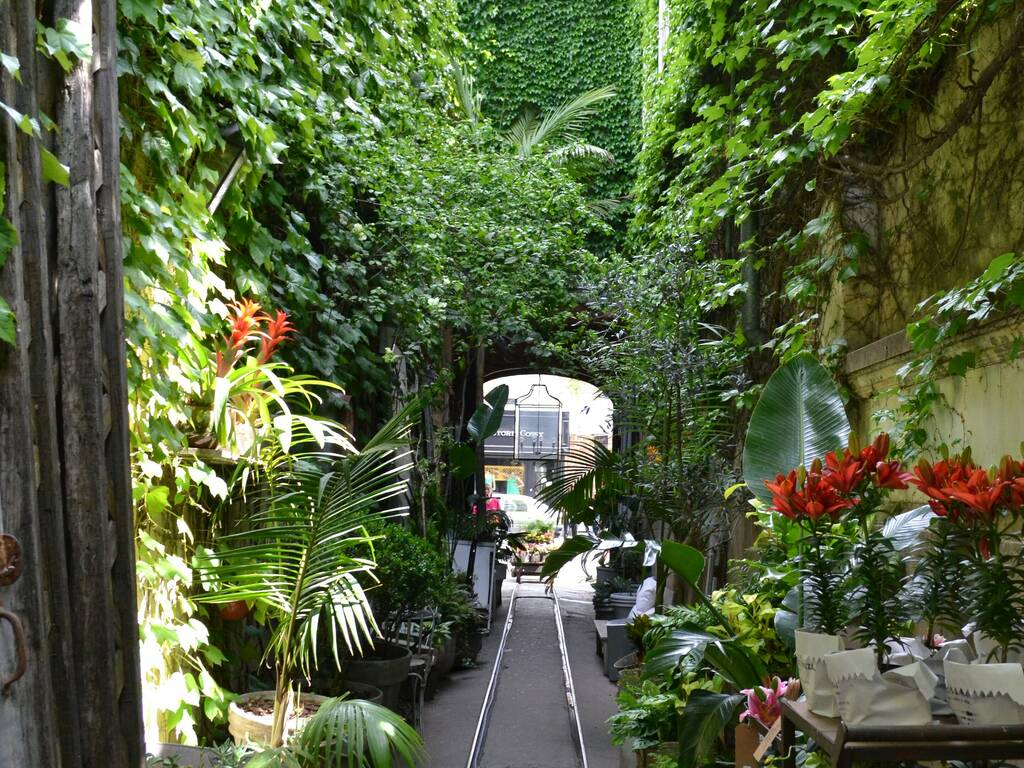 Secret attractions: 10 hidden places in Buenos Aires to discover