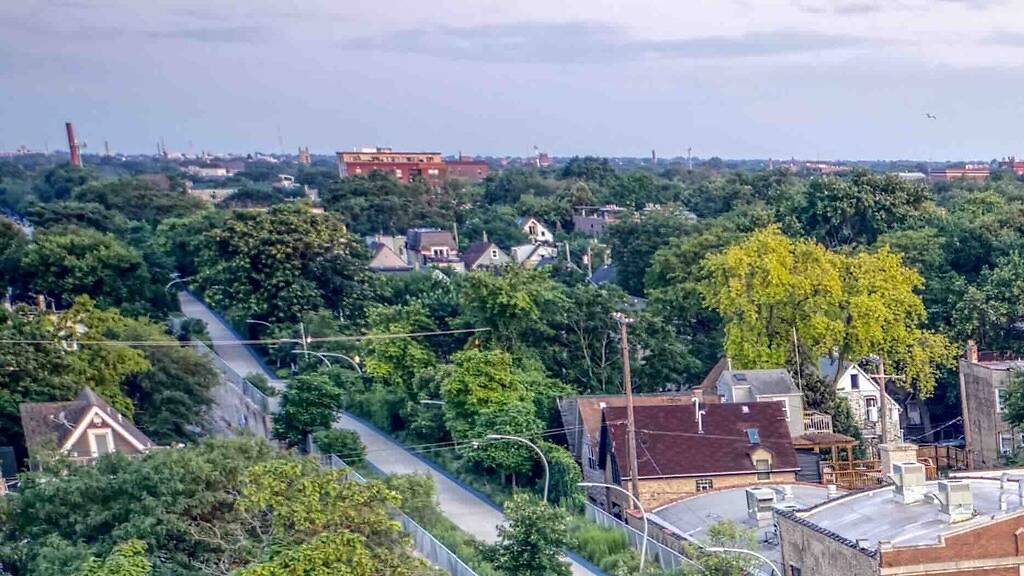 The Best Trails and Paths For a Walk in Chicago