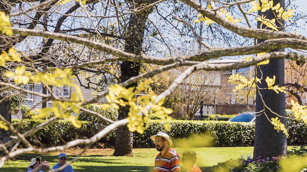 The 8 best things to do in Toowoomba for a bloomin' good time