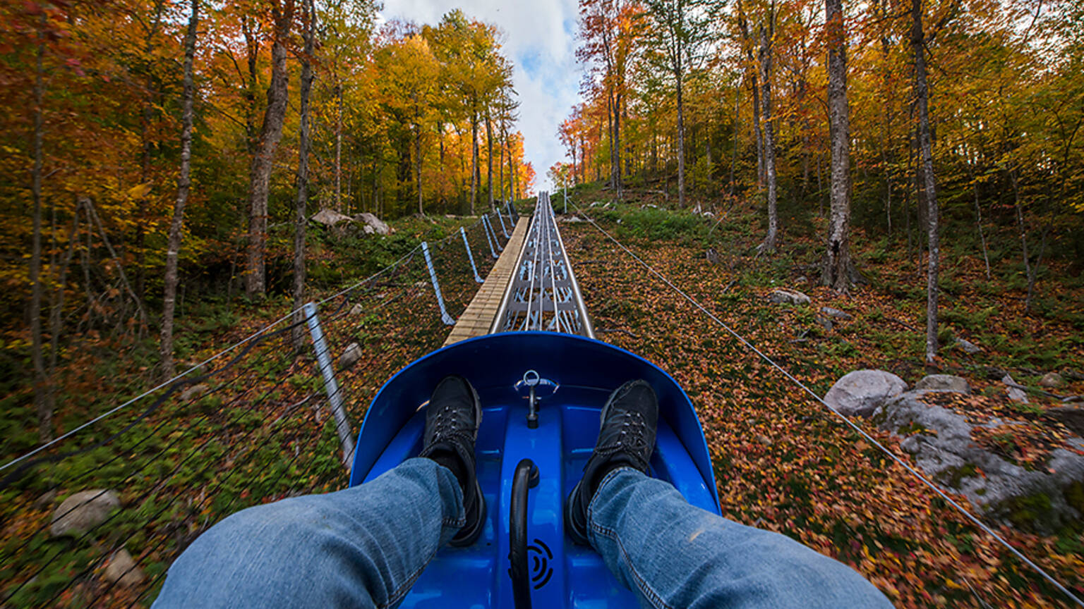 12 Fall Day Trips From NYC For Autumn Adventure