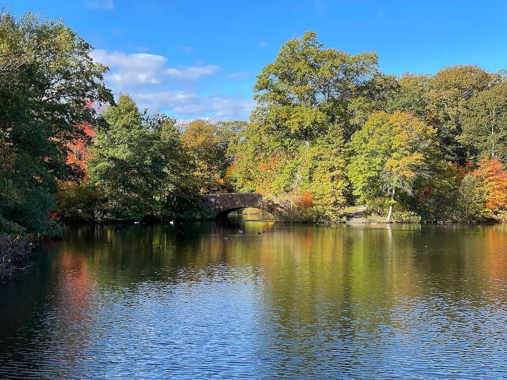 14 Places in Boston to See Fall Foliage for Gorgeous Fall Colors