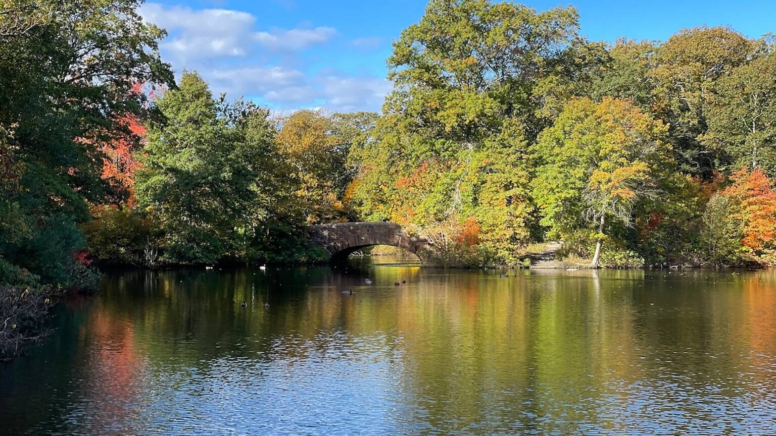 14 Places in Boston to See Fall Foliage for Gorgeous Fall Colors