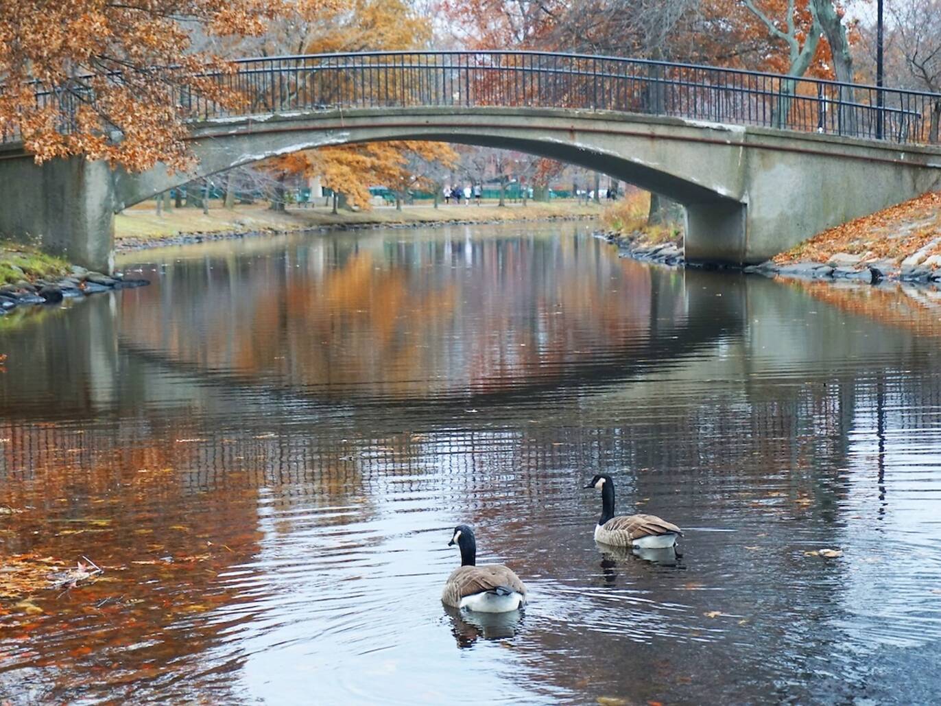 14 Places in Boston to See Fall Foliage for Gorgeous Fall Colors