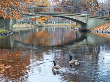 The Best Parks in Boston: 11 Green Spaces Perfect for Touching Grass