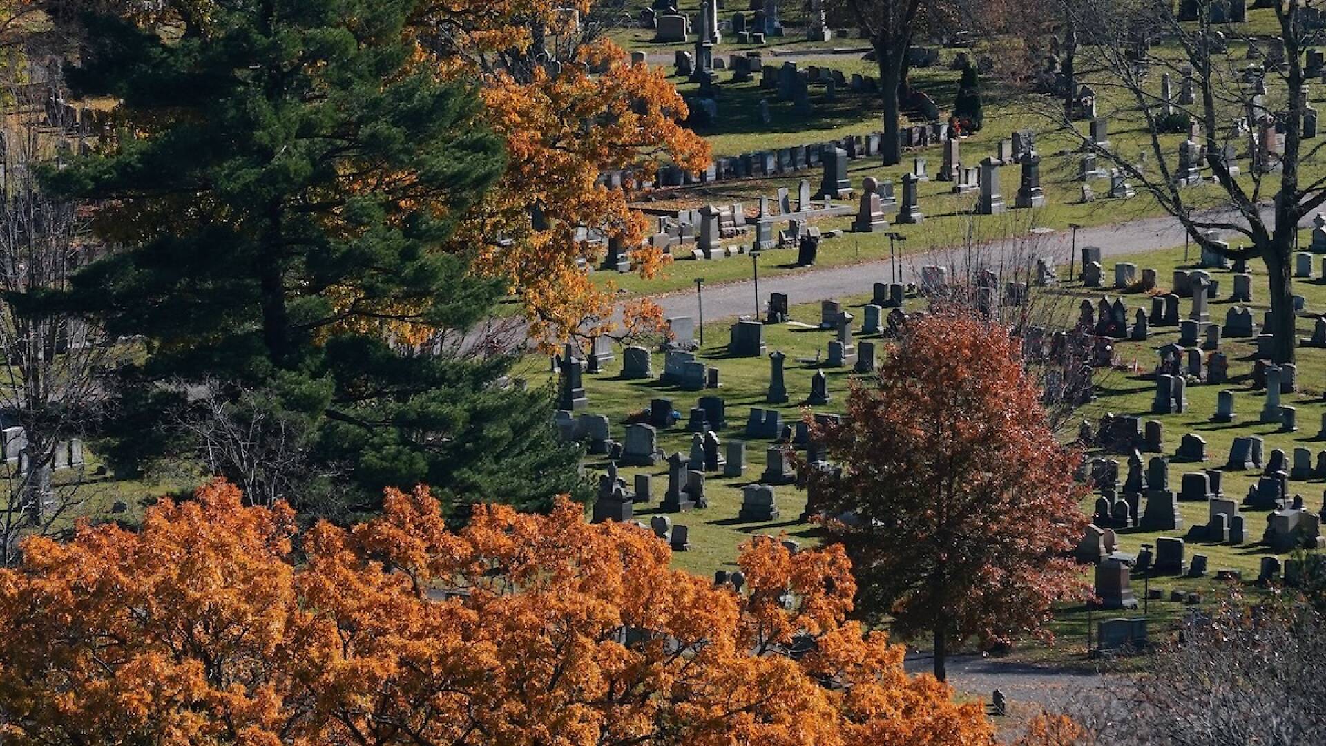 The Best Parks in Boston: 11 Green Spaces Perfect for Touching Grass