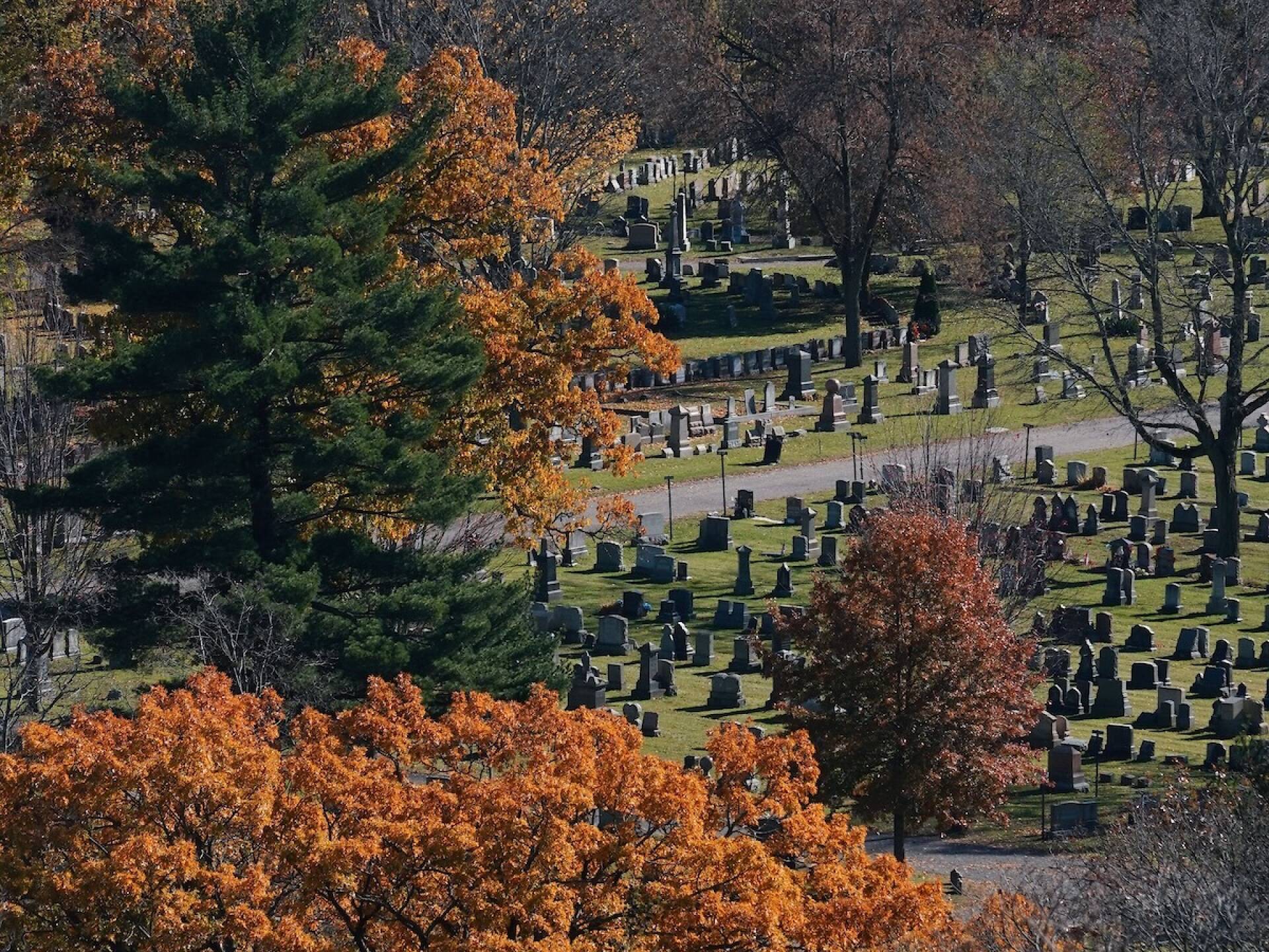 14 Places in Boston to See Fall Foliage for Gorgeous Fall Colors