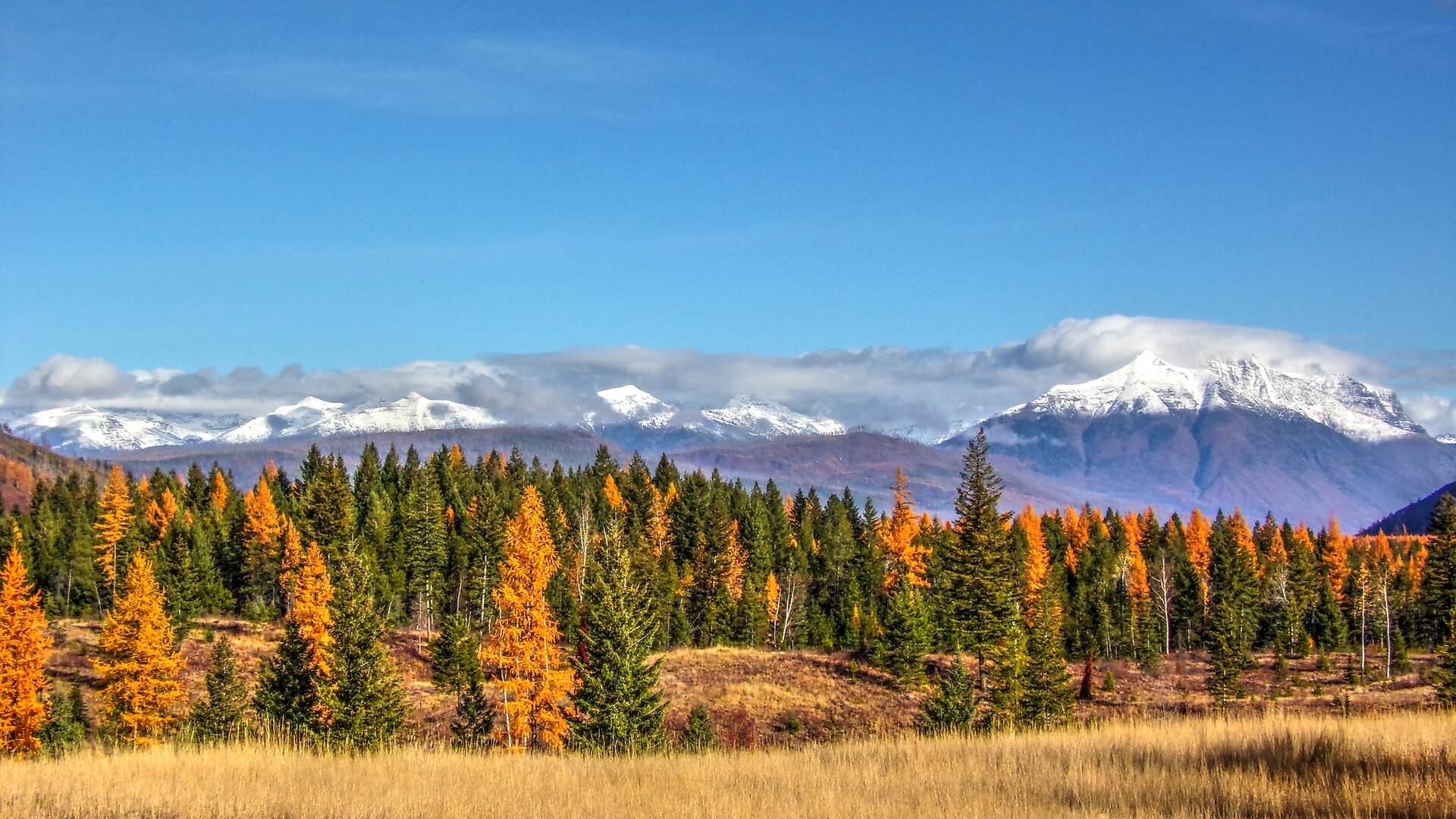 Where to See Best Fall Foliage in the USA For Beautiful Fall Colors