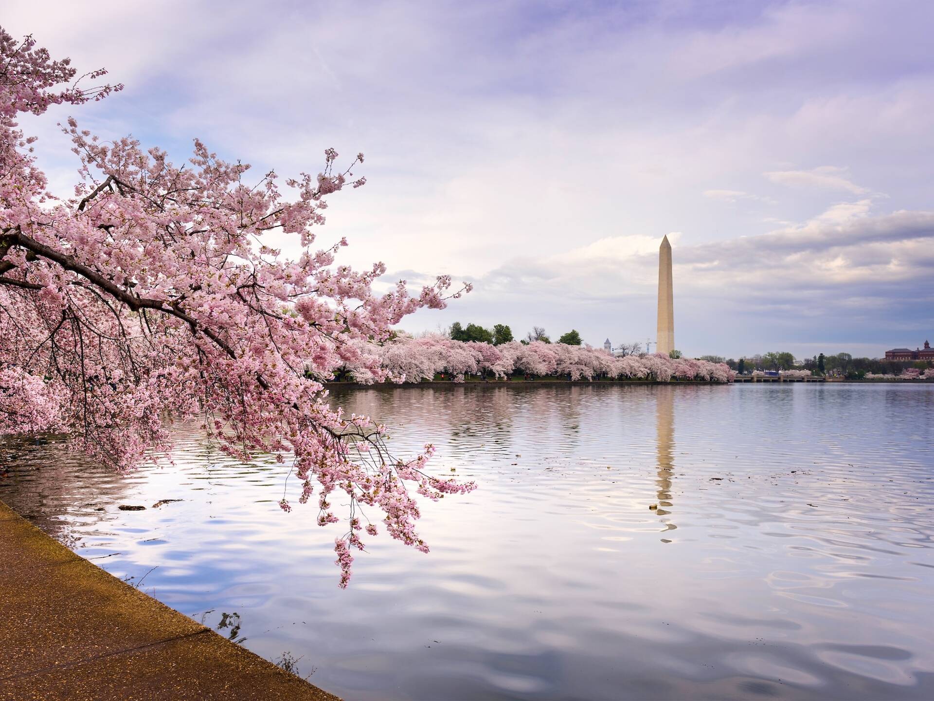 The 25 Most Instagrammable Spots in Washington D.C.