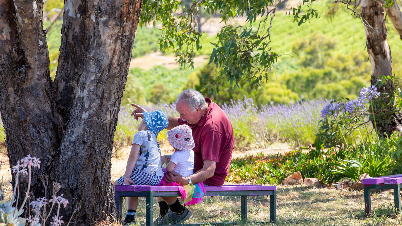 The 15 Best Things to Do in the Barossa Valley [Updated 2025]