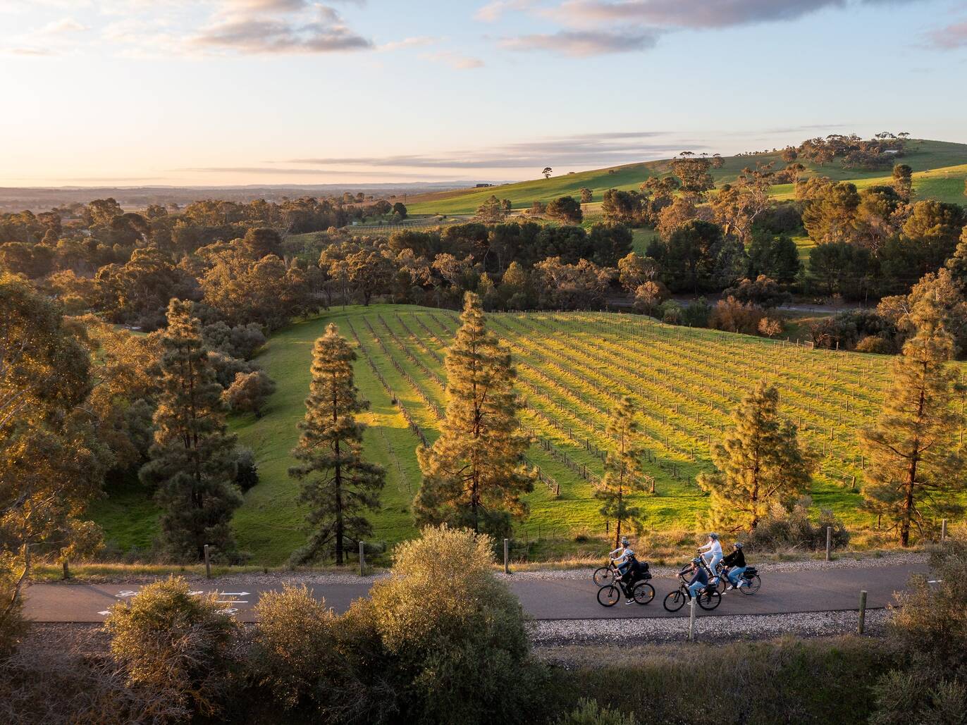 The 13 best things to do in the Barossa Valley
