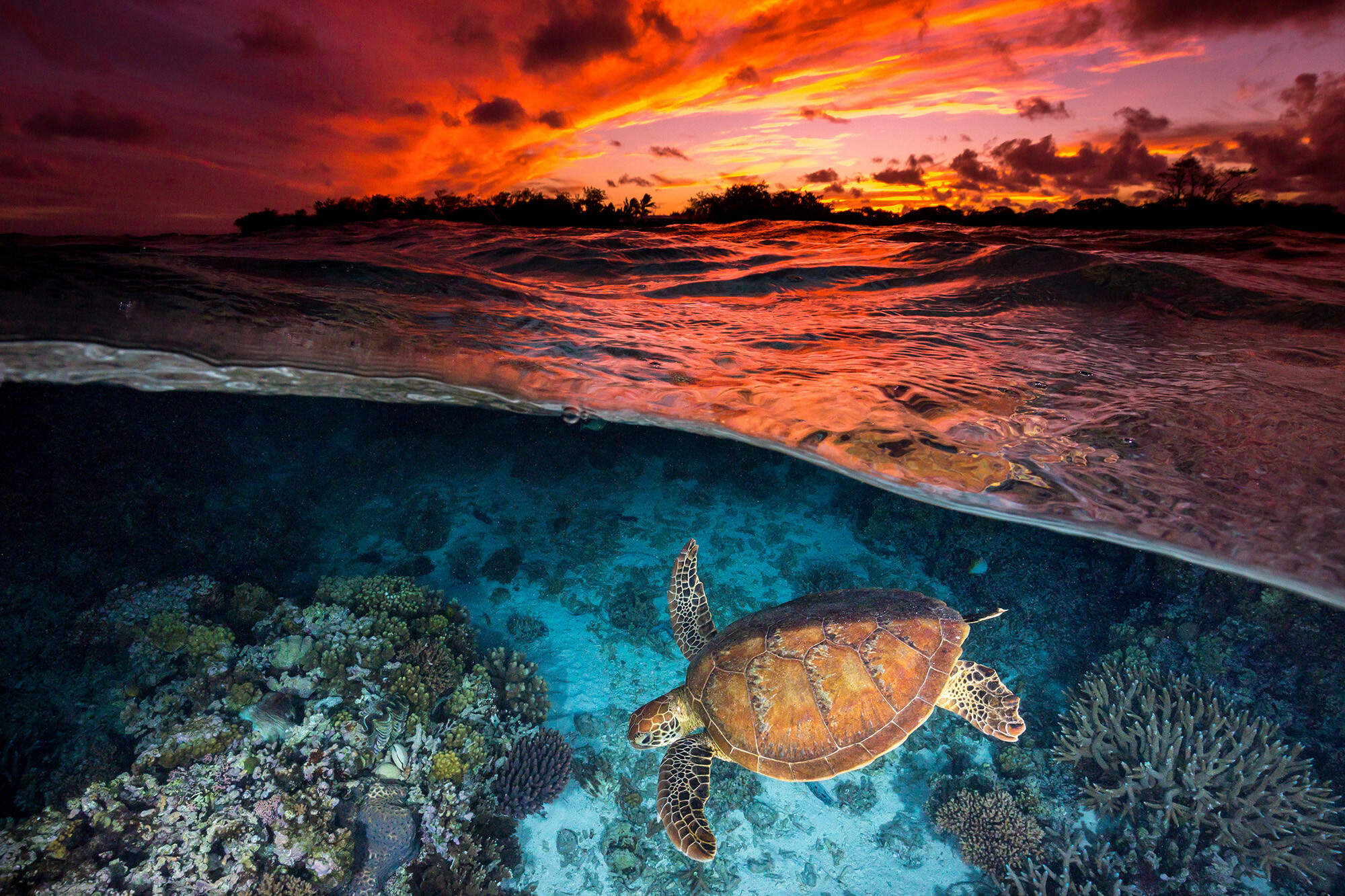 The Great Barrier Reef is Australia’s best golden hour spot