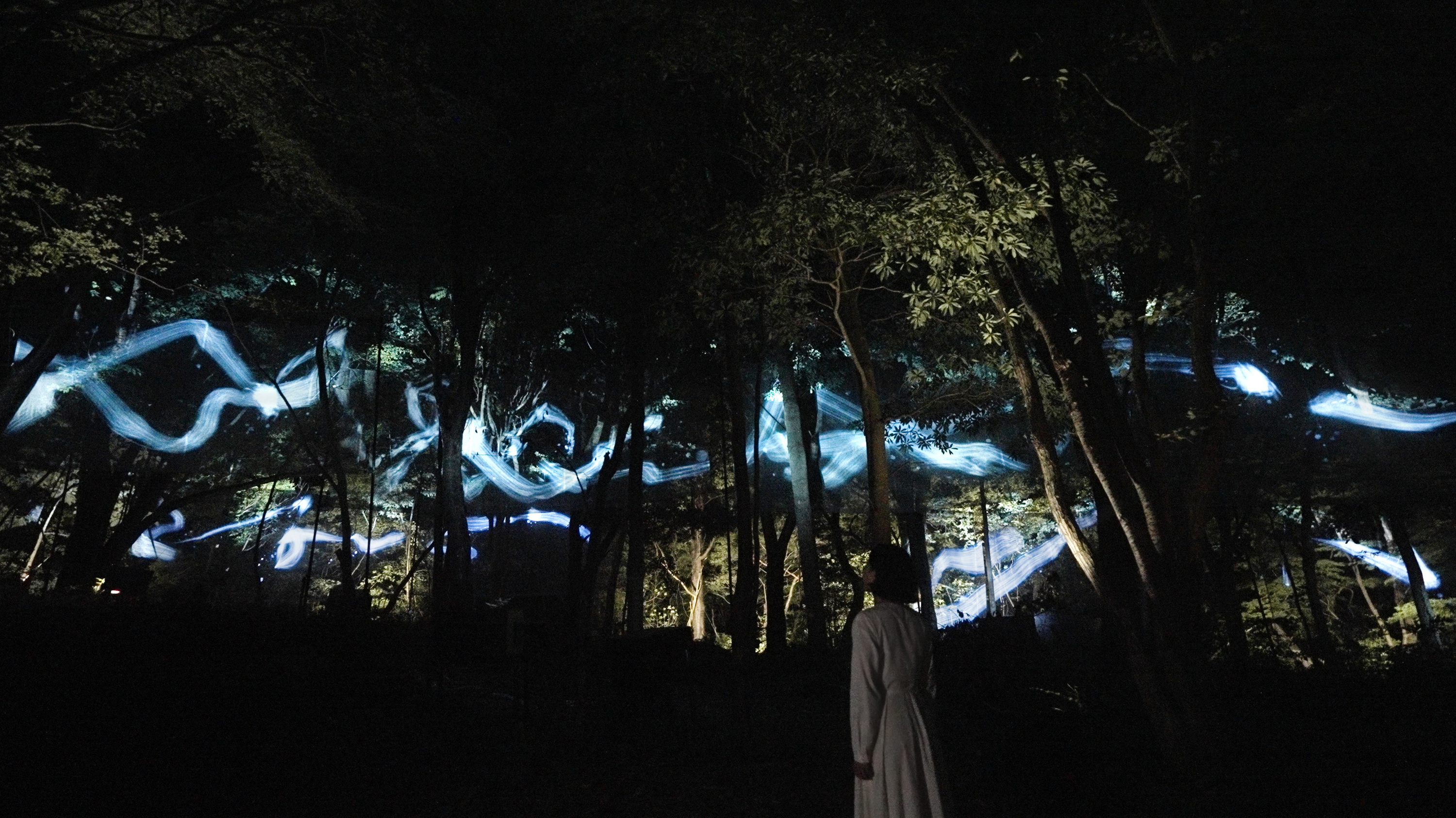 teamLab opens a new permanent exhibition at a rice terrace in Ibaraki