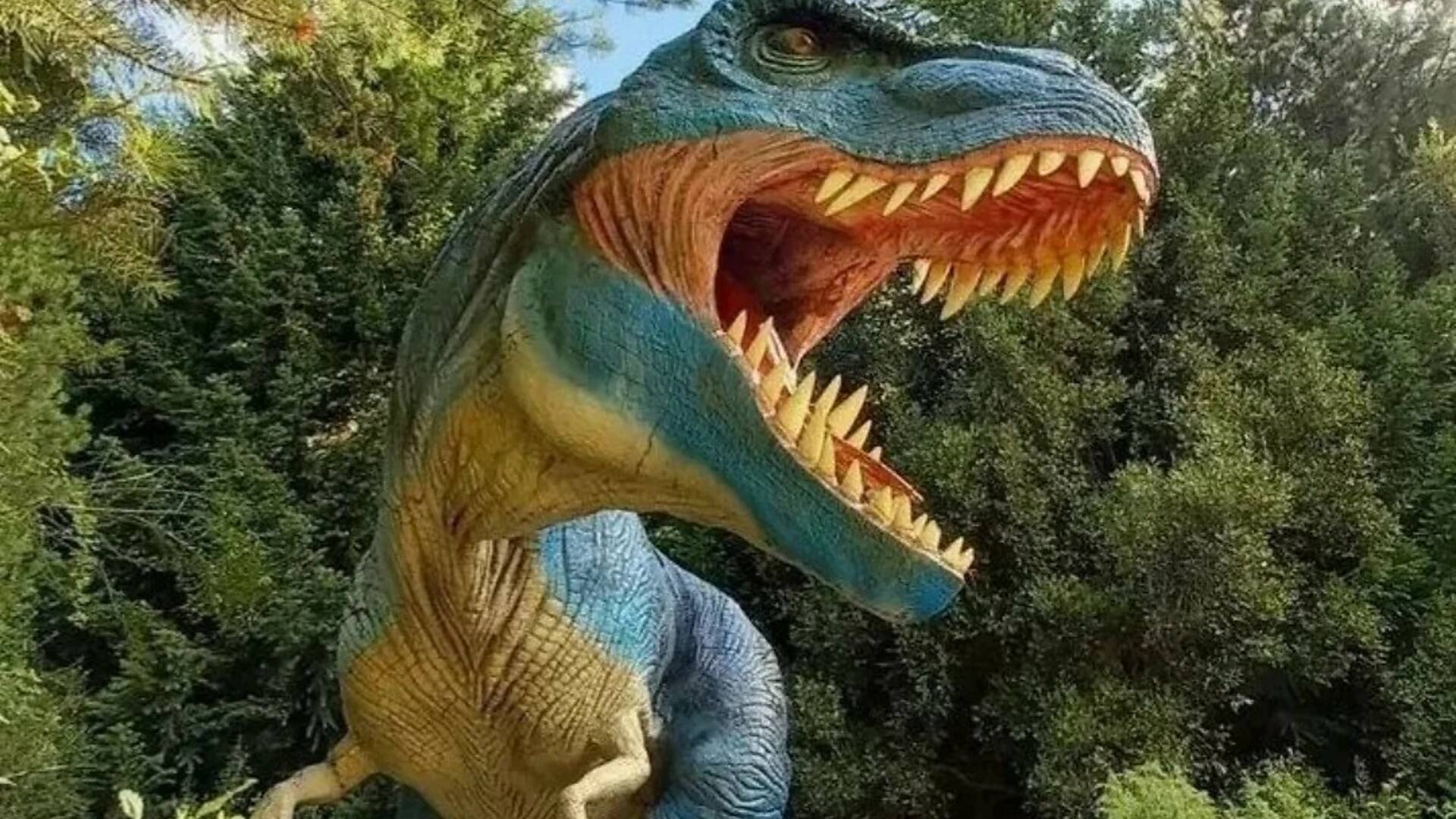 Theme parks to visit with kids in Argentina