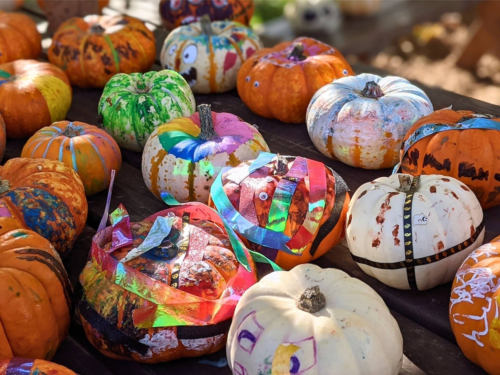 Find Your Perfect Pumpkin Patch in Miami This Fall 2024