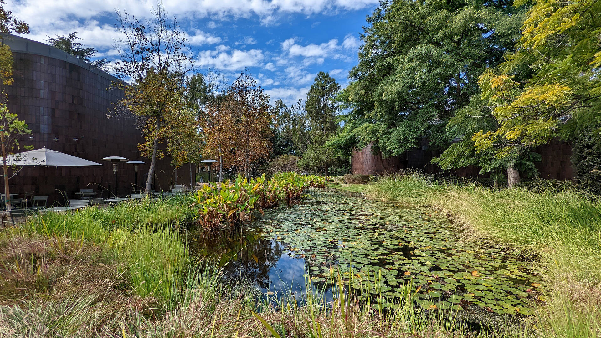 Norton Simon Museum | Museums in Pasadena, Los Angeles
