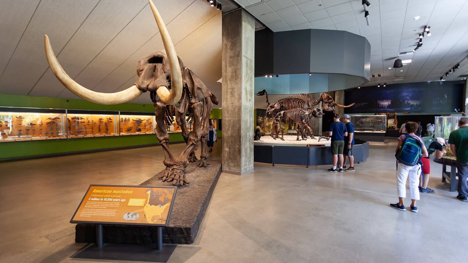 20 Best Things to Do in Los Angeles with Kids for a Fun-Filled Day