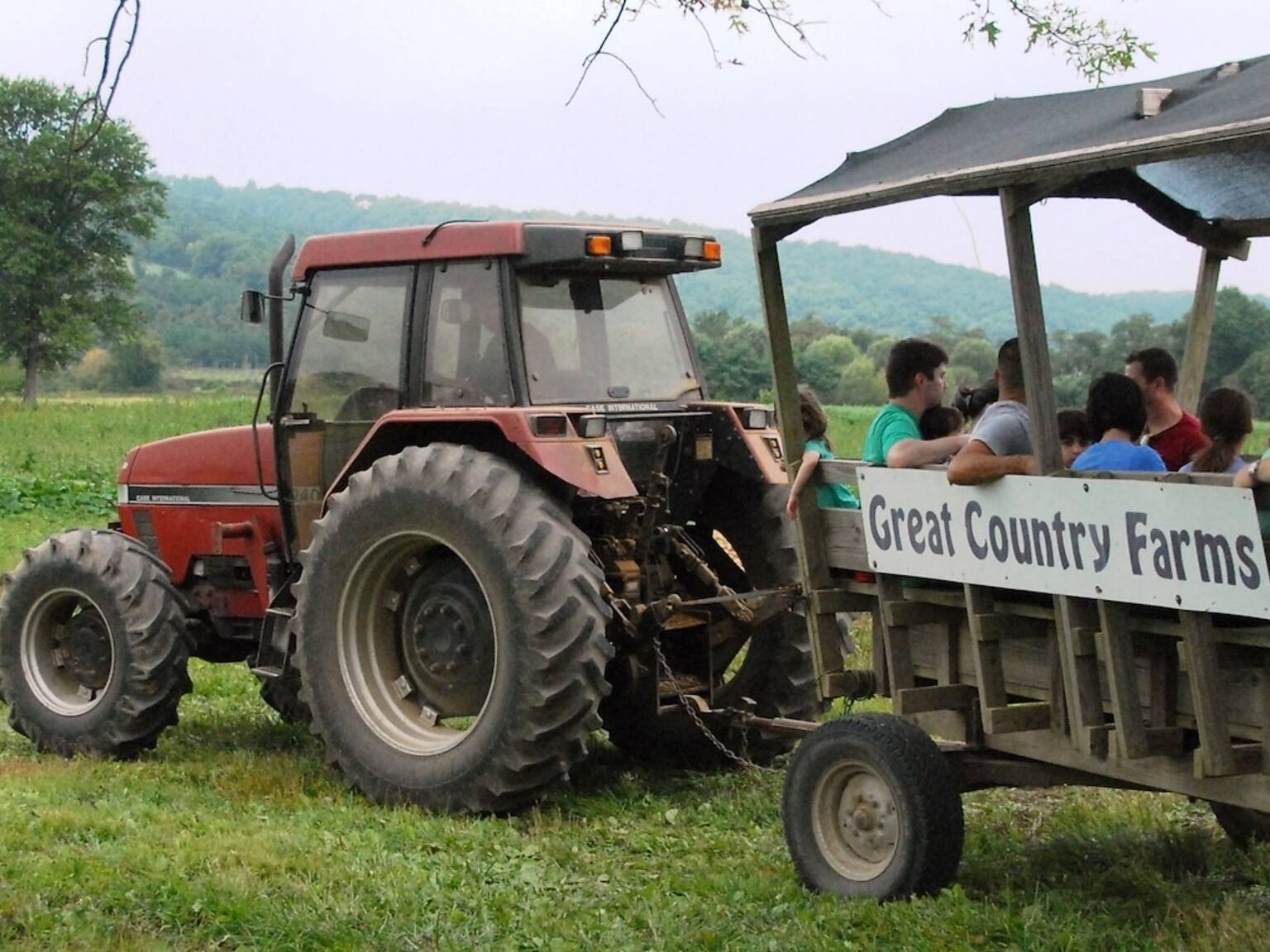 15 Best Spots for Apple Picking Near Washington, D.C.