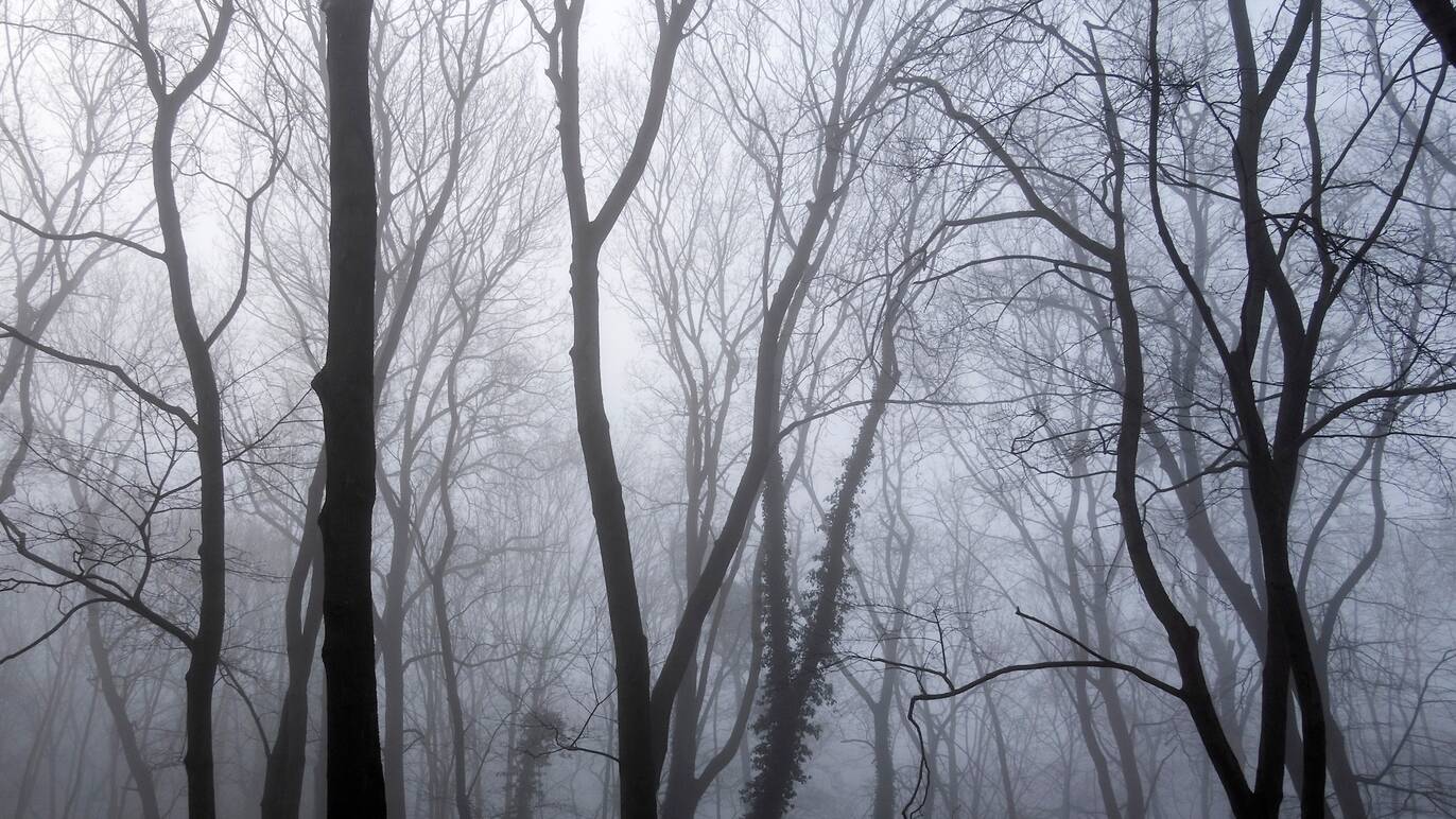 19 Most Haunted Places in America For Daring Ghost Hunters