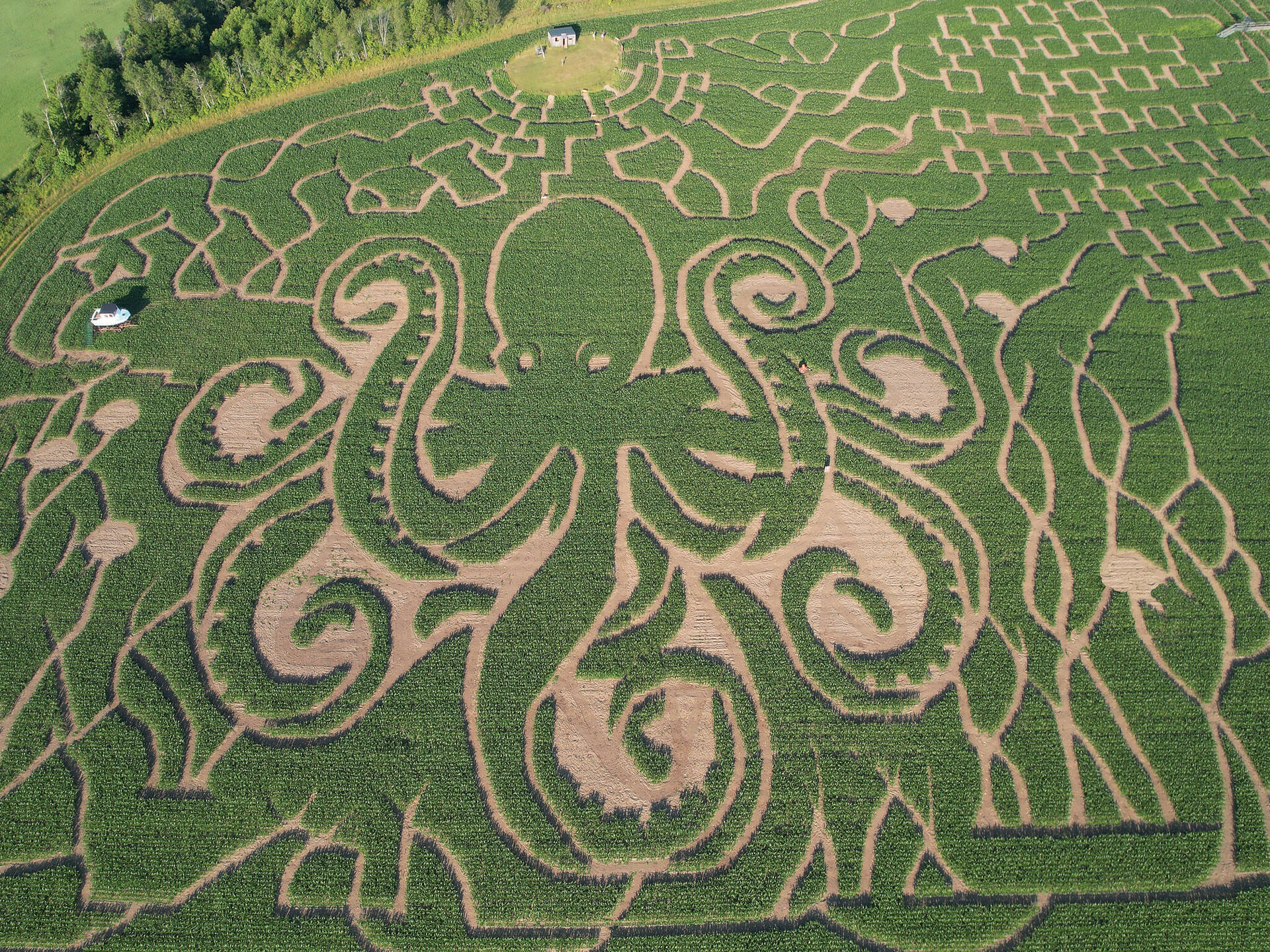 Best Things to do in the US | Time Out America