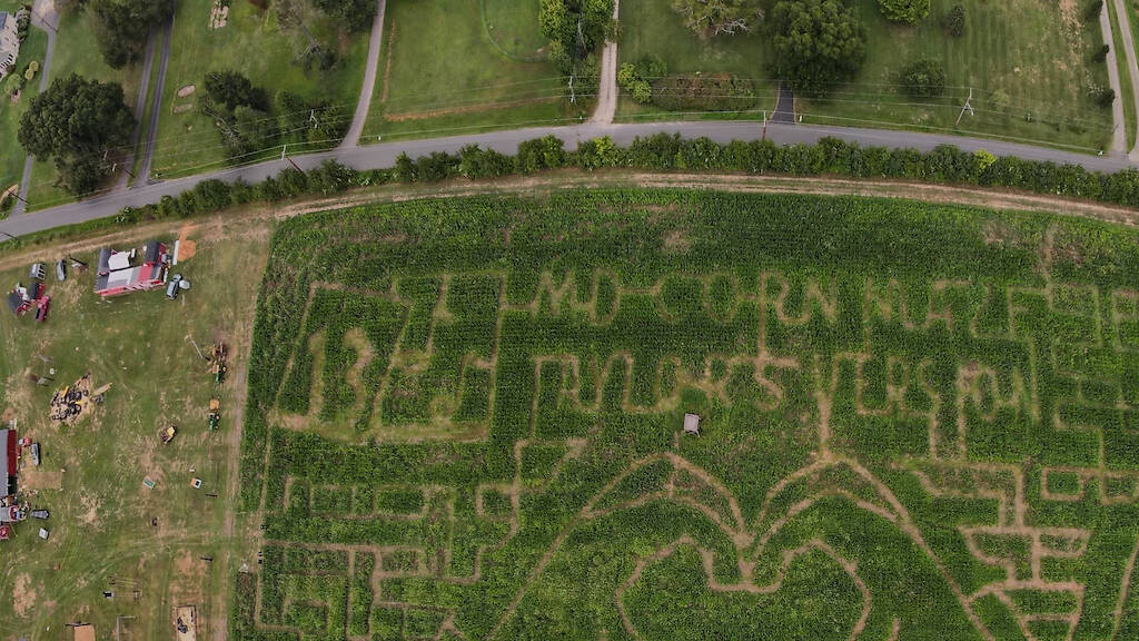 14 Biggest and Best Corn Mazes in America