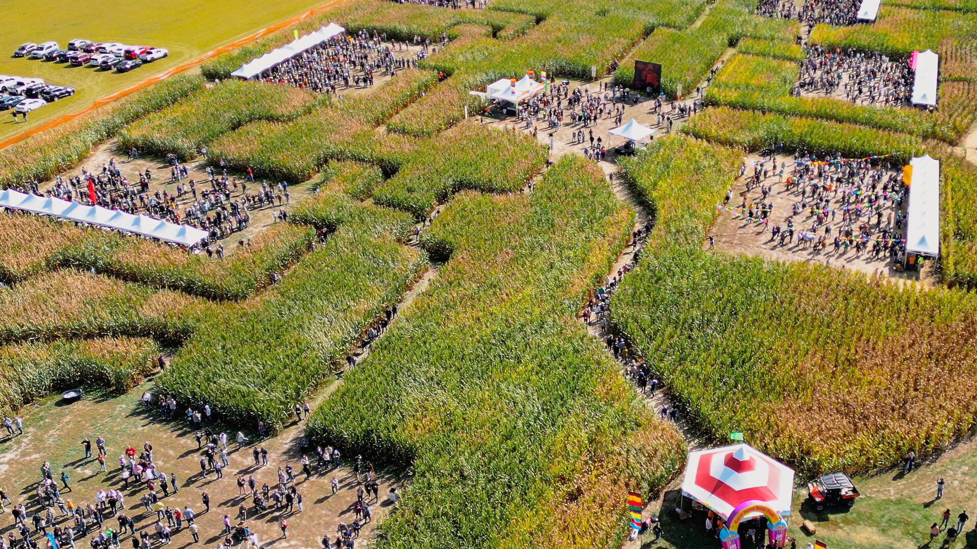 14 Biggest and Best Corn Mazes in America