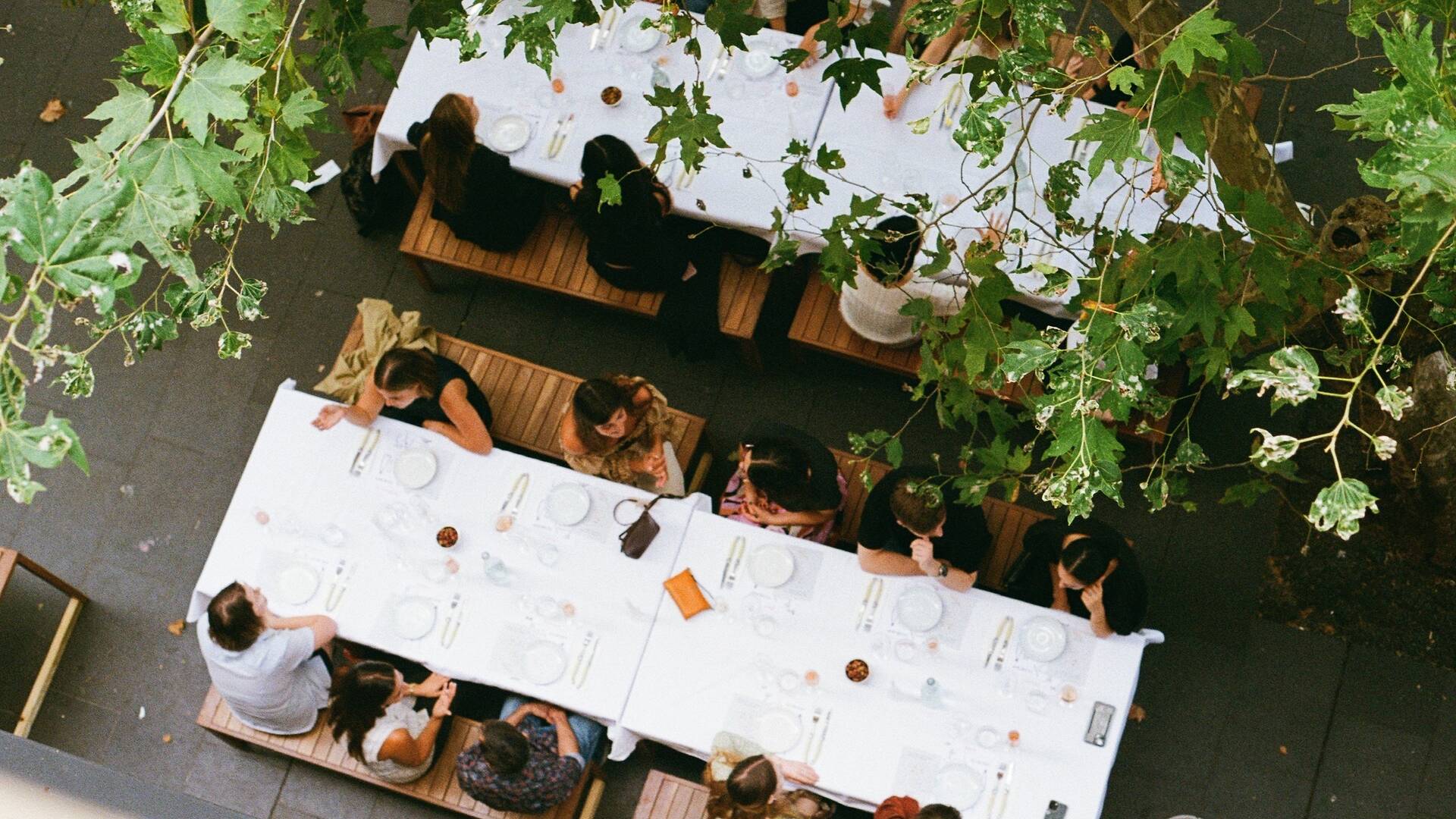 Theeca Darlinghurst | Café by day, wine and vinyl bar by night