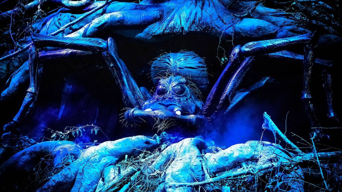 17 Best Halloween Events in Washington, D.C.