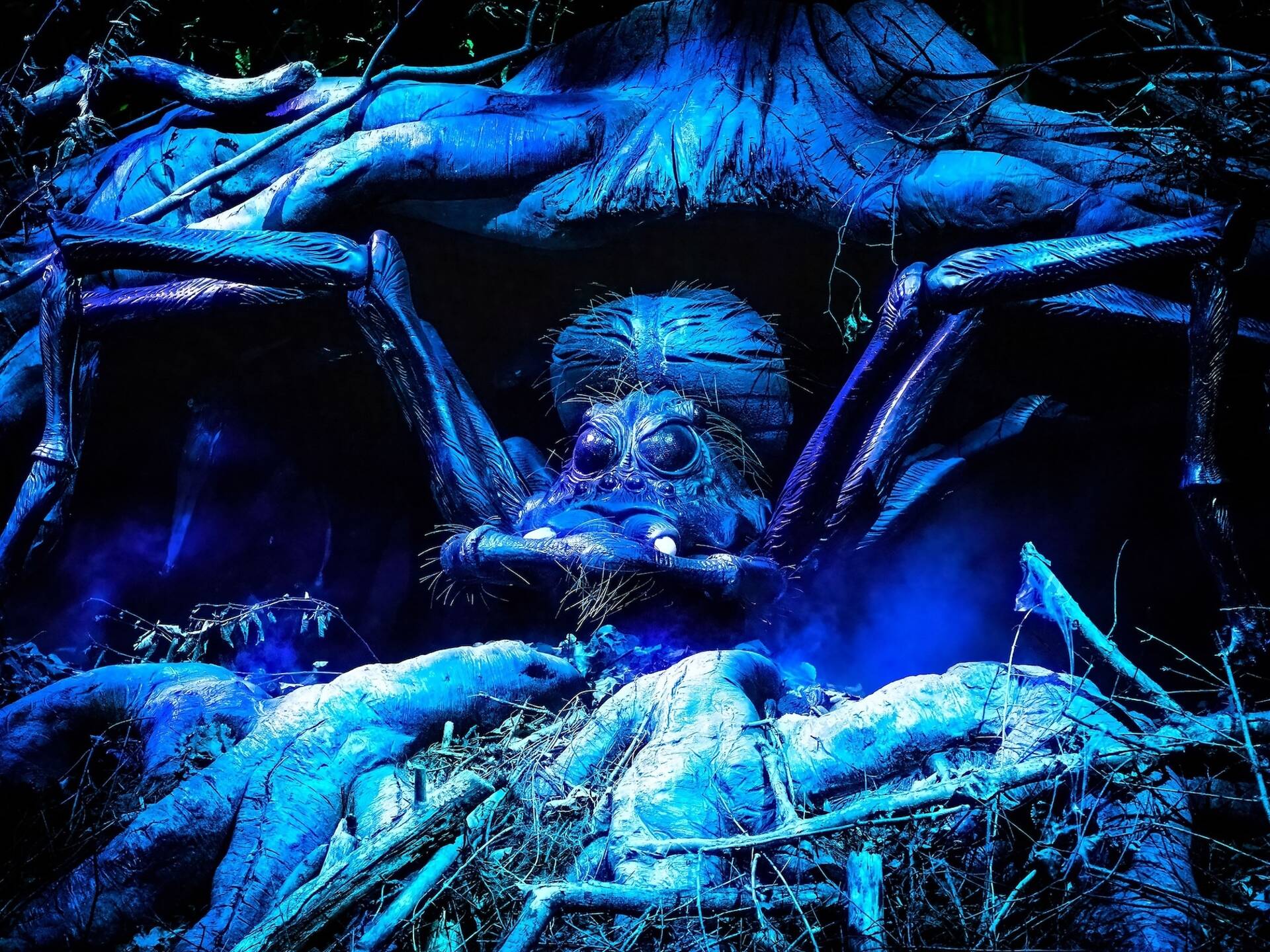 17 Best Halloween Events in Washington, D.C.