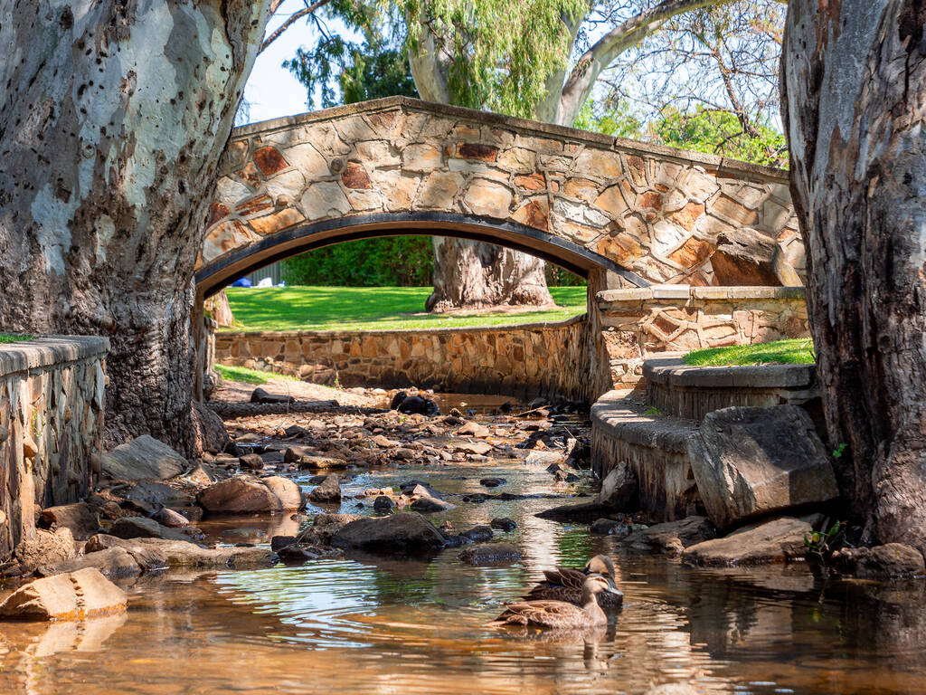 The 8 Best Parks in Adelaide For Picnics, Playgrounds & More