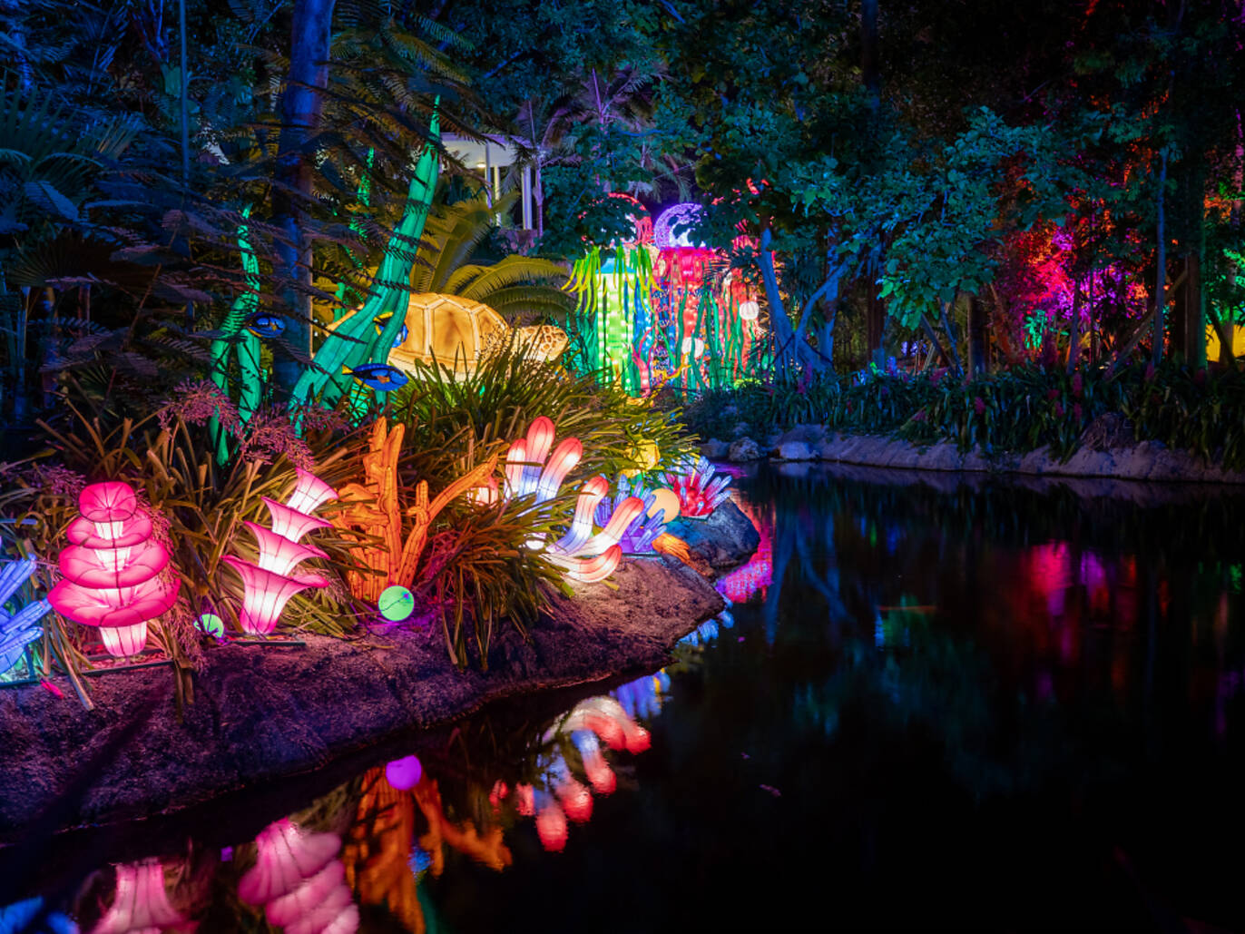 Time Out Miami | Miami Events and Things To Do