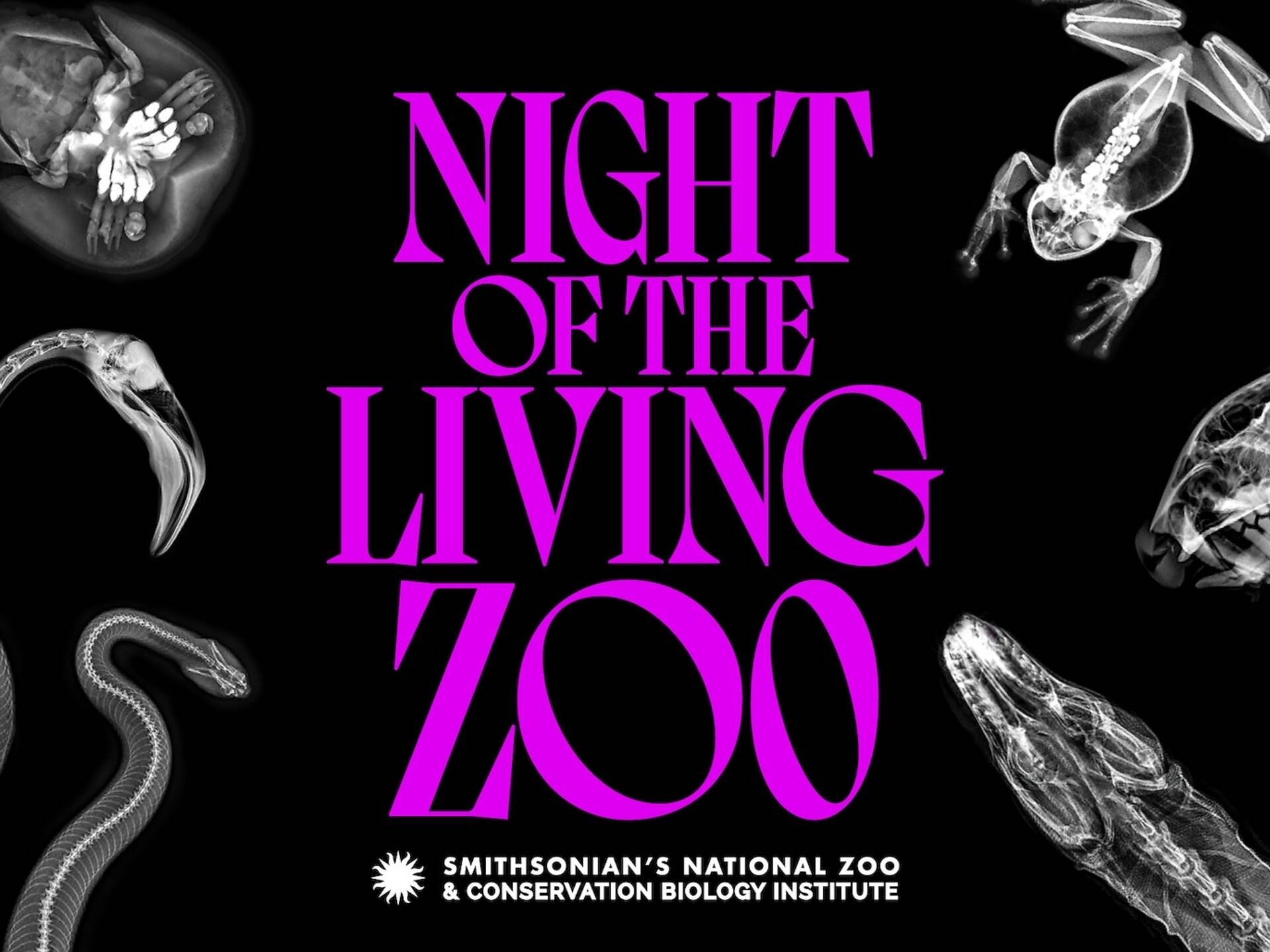 17 Best Halloween Events in Washington, D.C.