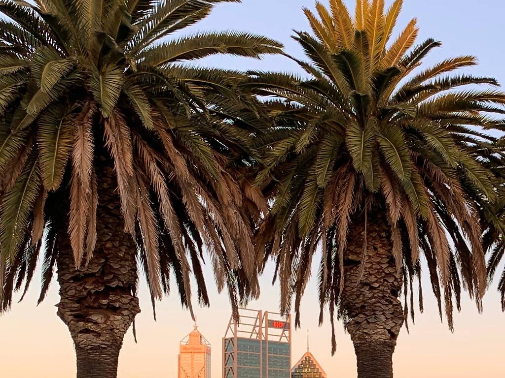 The 8 best parks in Perth for picnics and playgrounds