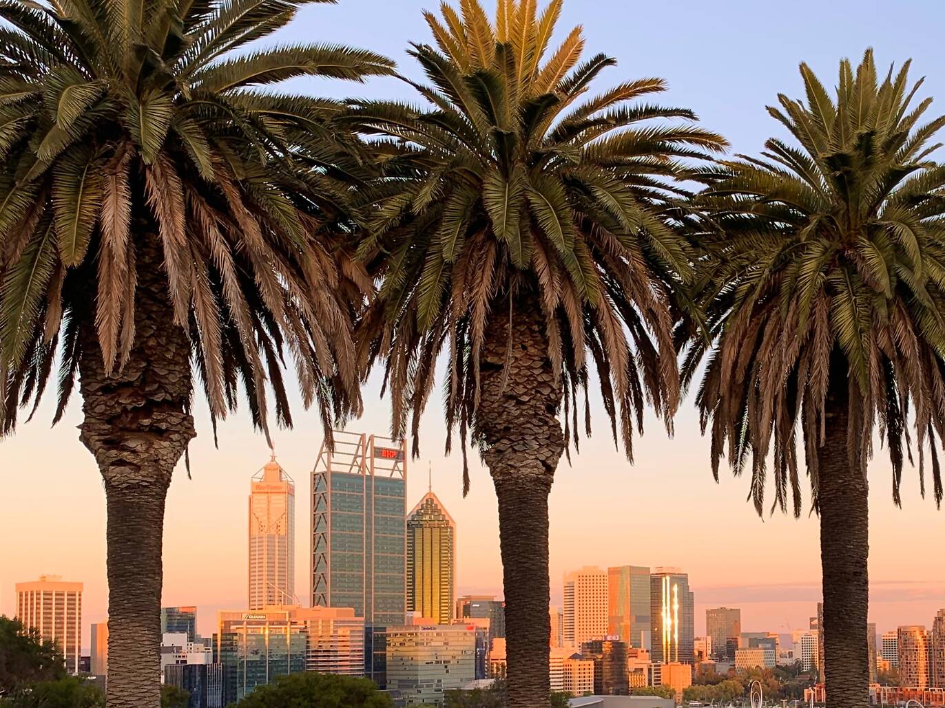 The 8 best parks in Perth for picnics and playgrounds