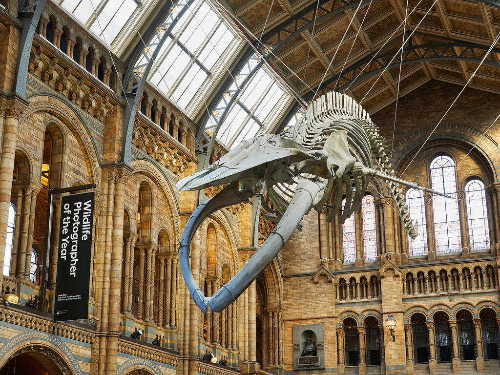 25 Best Museums in London for 2026 You Can’t Miss