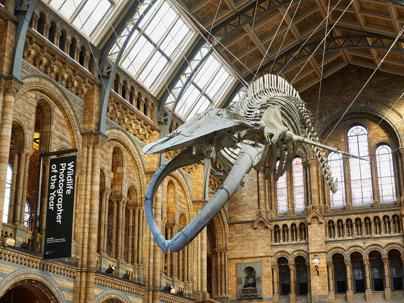 London Art Galleries – Museums Exhibitions – Time Out London