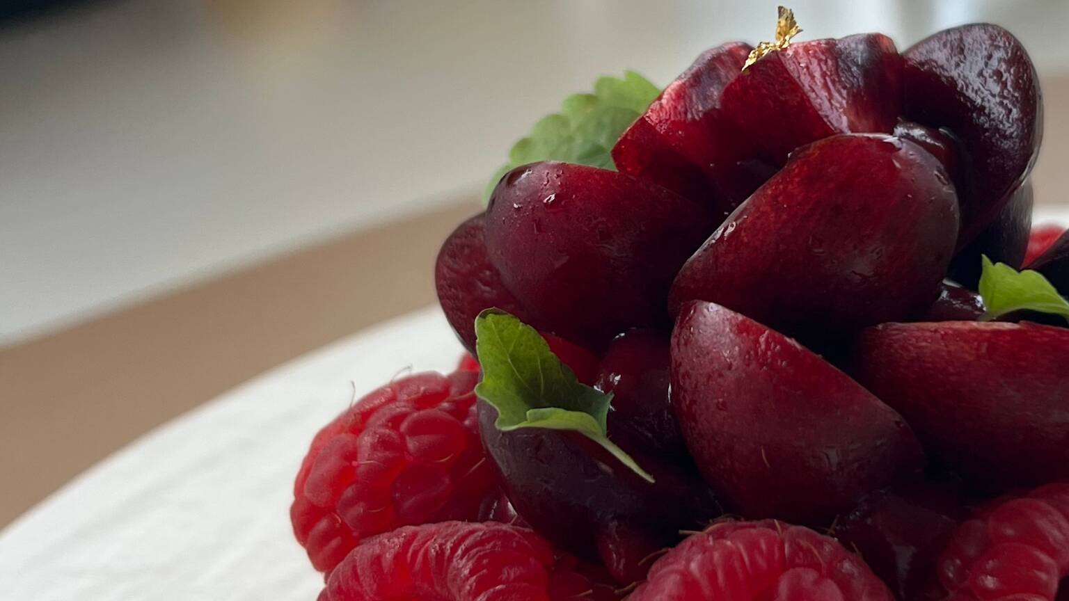 Canvas is now open on level 4 of the MCA in The Rocks