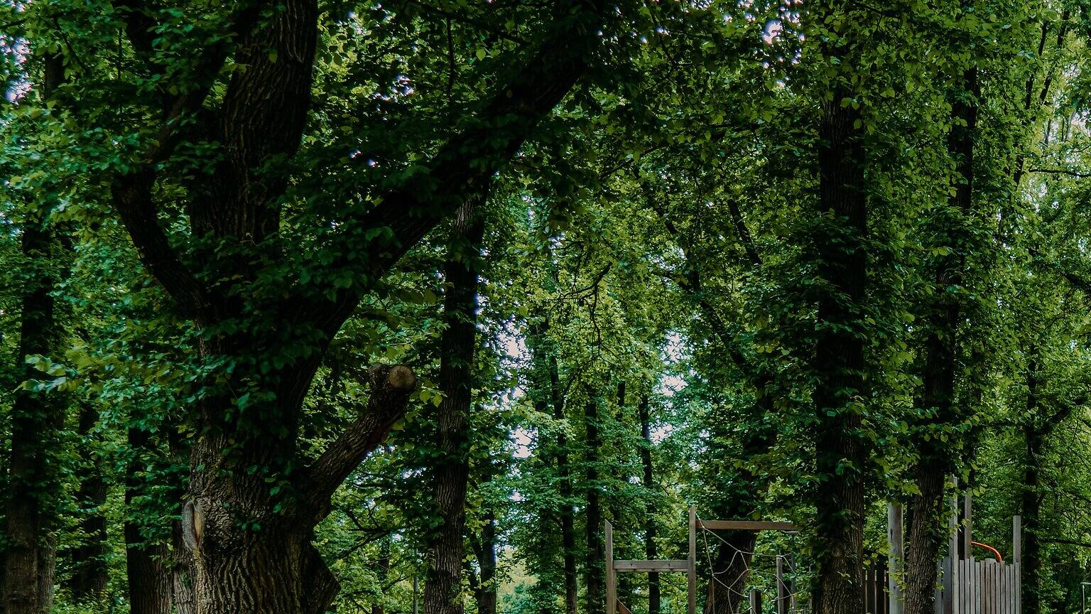 The 6 best parks in Canberra for picnics and play