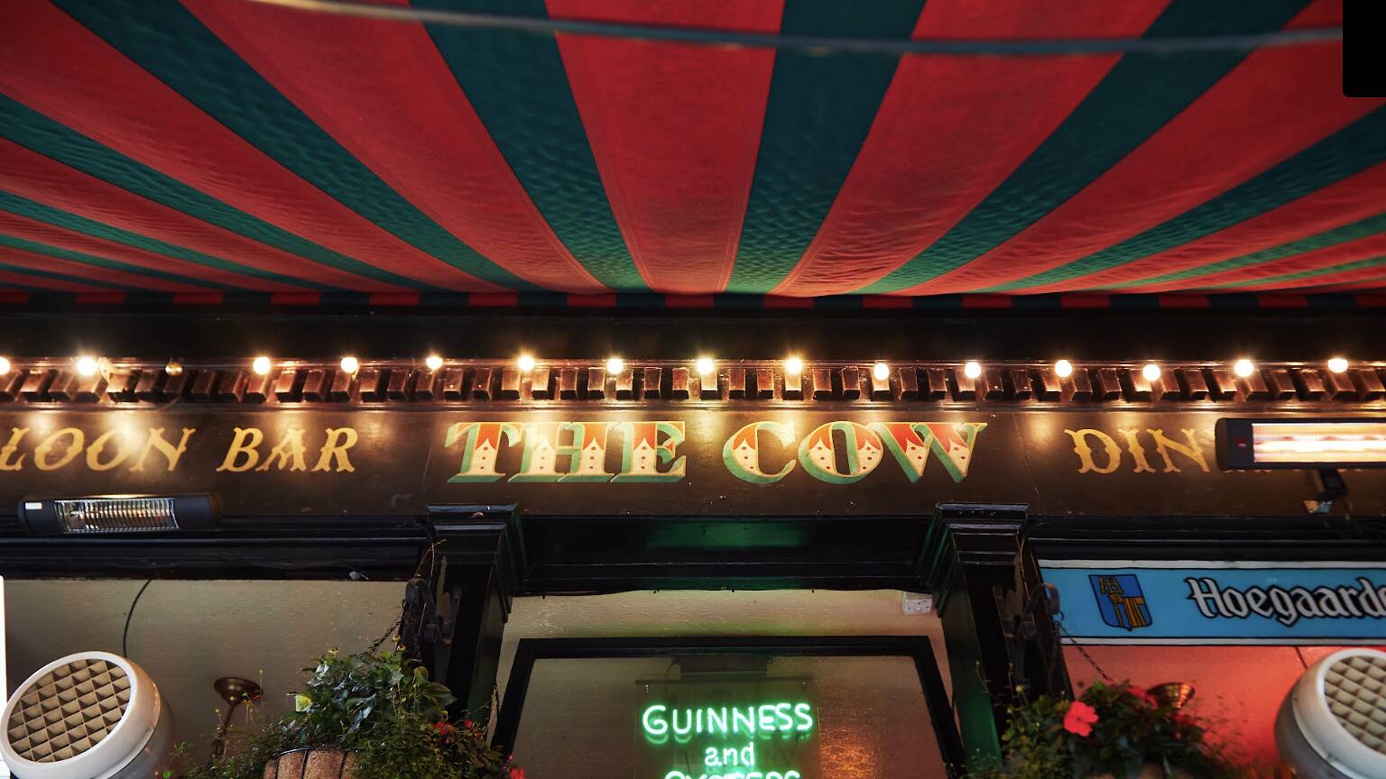 The Cow | Bars and pubs in Notting Hill, London