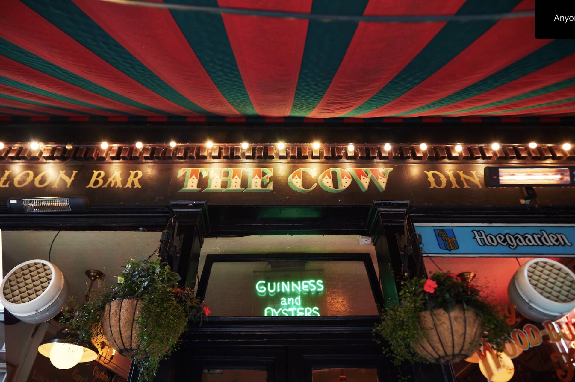 The Cow | Bars and pubs in Notting Hill, London