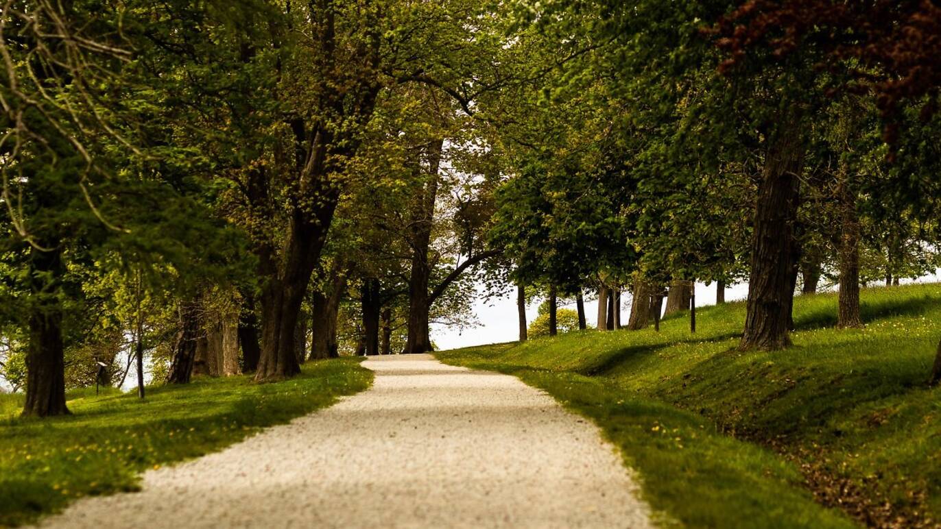 Boston in The Fall: Best Things To Do & Activities